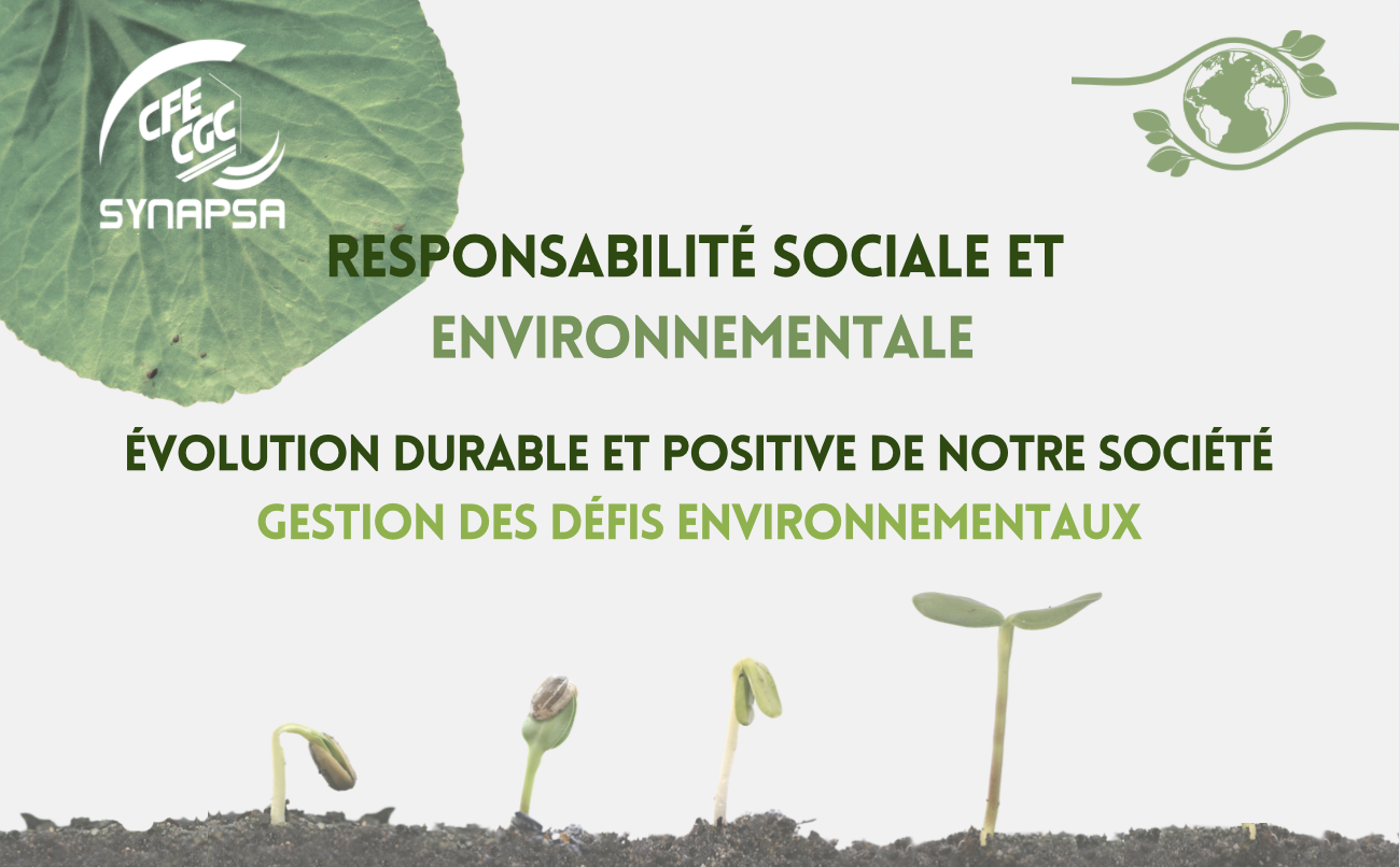 Responsabilité Sociale et Environnementale en Entreprise